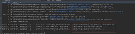 Nacos宕机后并发的问题 · Issue 7824 · Alibabanacos · Github