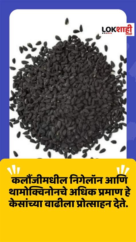 तरूण वयात तुमचेही केस पांढरे झाले आहेत का सफेद केसांची लाज वाटत असेल