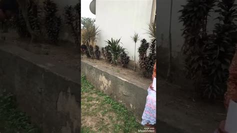 Lol Sex Doll Youtube