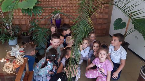 ЖИВОТ ЈЕДНОГ ЛИСТА Народна библиотека Миодраг Борисављевић Апатин