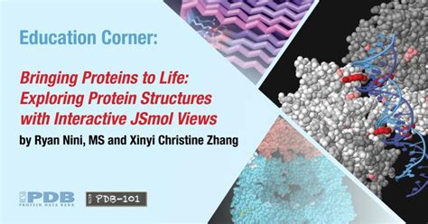 Rcsb Protein Data Bank On Linkedin Education Corner Bringing Proteins