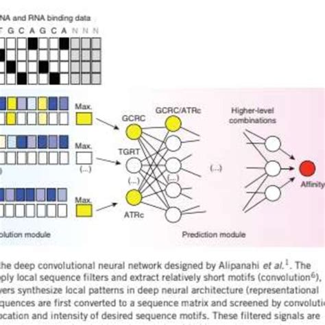 deep convolutional neural network download scientific diagram