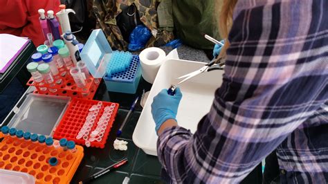 Байкальские губки биоиндикаторы загрязнения озера тяжелыми металлами Хабр