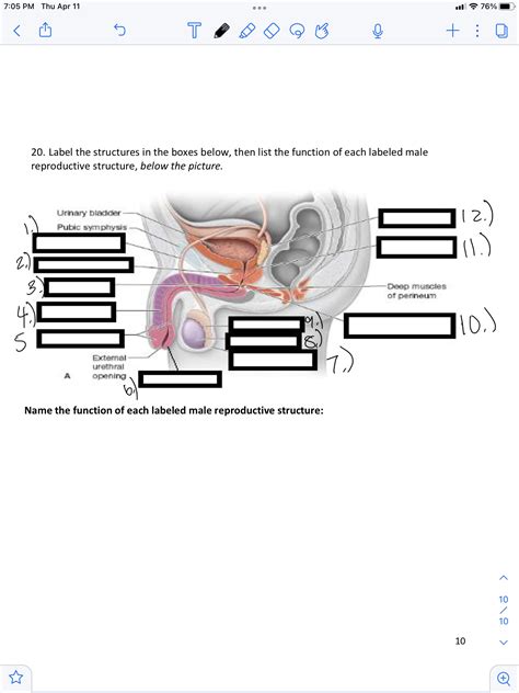 Solved theta 掵 Label the structures in the boxes Chegg com