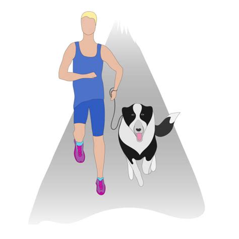 Border Collie Run Illustrations Royalty Free Vector Graphics And Clip