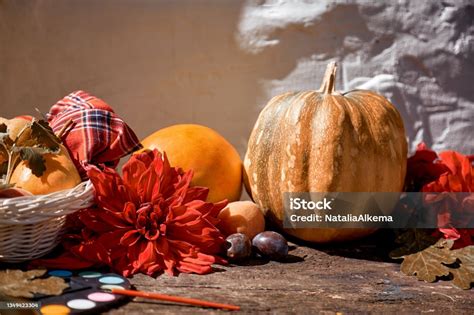 가을 미적 박람회 노란색 과일과 야채와 브러시 호박 배 사과와 멜론밝은 페인트 추수 감사절 개념 붉은 조지네 현대 그림자가 있는