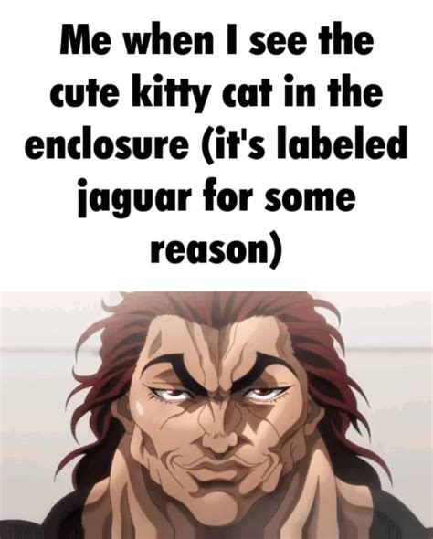 Posting Baki Meme Every Day Untile Jack And Hanayama Fight Day 23 R