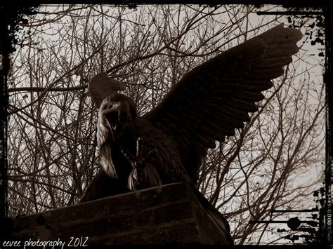 Raptor Foundation 2 By Eevee Lily On Deviantart