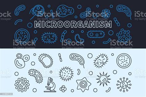 2 미생물 라인 배너 세트 벡터 바이러스학 일러스트 레이 션 감기와 독감에 대한 스톡 벡터 아트 및 기타 이미지 감기와 독감 건강관리와 의술 과학 Istock