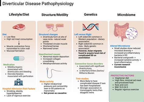 Diverticular Disease Update On Pathophysiology Classification And