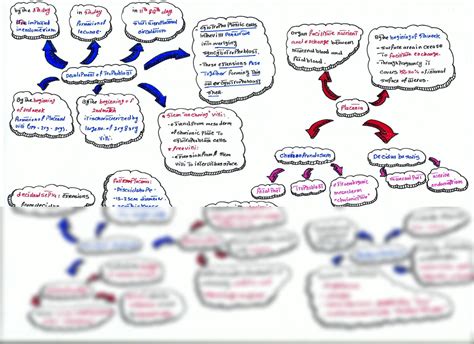 Solution Fetal Development Placenta Studypool
