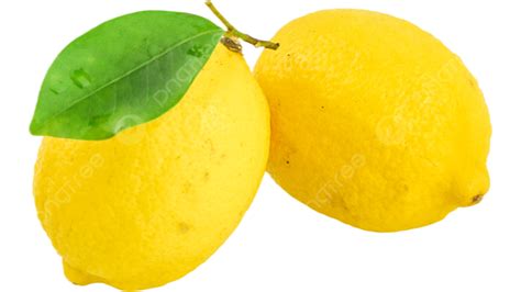 레몬 옐로우 현실적인 사워 벡터 레몬 현실적 녹색 Png 일러스트 및 이미지 에 대한 무료 다운로드 Pngtree 레몬 옐로우 현실적인 사워 벡터 레몬 현실적 녹색 Png 일러스트 및 이미지 에 대한 무료 다운로드 Pngtree