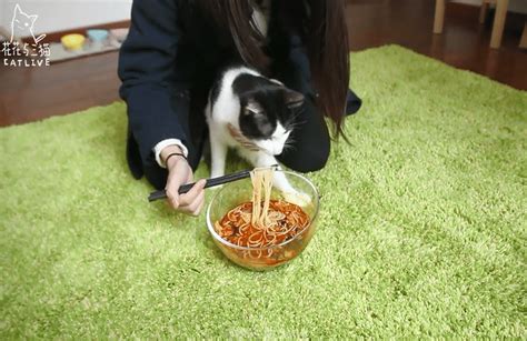 An Example Of The Generated Comments By The Encoderdecoder Model Above Download Scientific