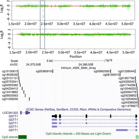 Using High Density Dna Methylation Arrays To Profile Copy Number