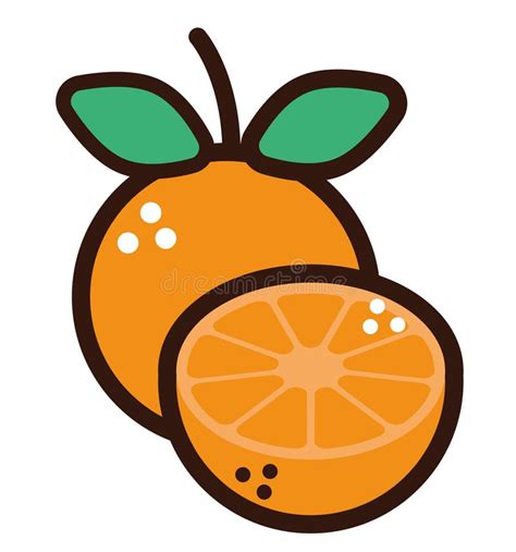 Doodle De Frutas Frescas De Naranjas Ilustración Del Vector