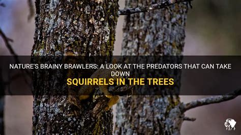 Natures Brainy Brawlers A Look At The Predators That Can Take Down