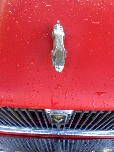 Heres My Dripping Wet Pussy Before It Gets A Wax Projectcar