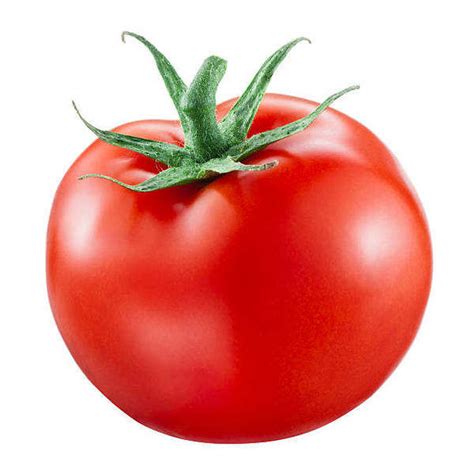 Pomodoro Technique The New Studying Method For Students Times Of India