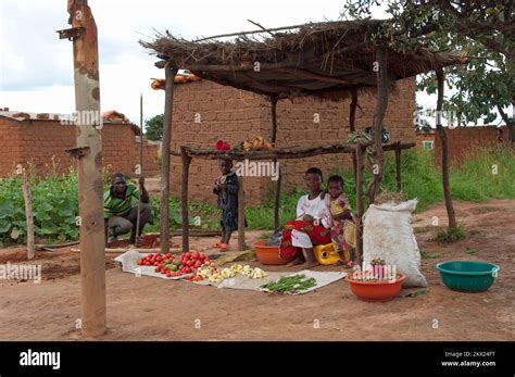 Small Market Stall With Vegetables Lubumbashi Katanga Province