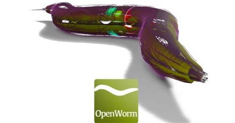 synthetic daisies openworm blog announcing the openworm open house 2016