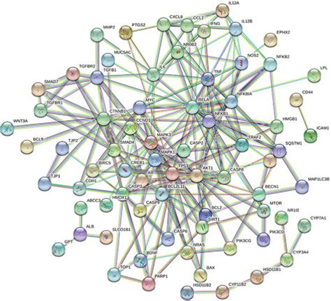A Five Disease Gene Databases Combined With Venn Diagrams B Venn