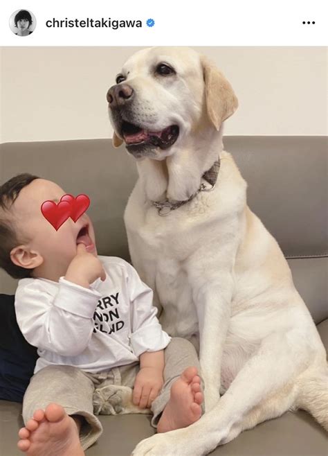「本当に好きなのね」滝川クリステル、1歳長男と愛犬の相思相愛ショット スポーツ報知