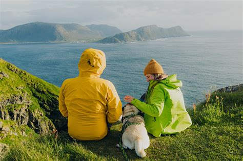 노르웨이 룬데 섬에서 바다를 바라보는 개를 가진 행복한 여자와 남자의 뒷모습 2명에 대한 스톡 사진 및 기타 이미지 2명 감탄 강아지 개 Istock