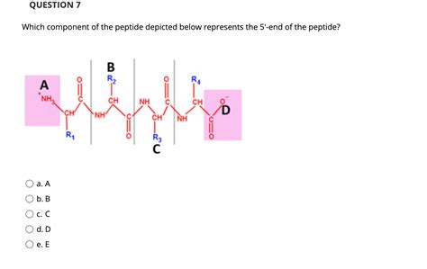 Solved QUESTION 7 Which Component Of The Peptide Depicted Chegg