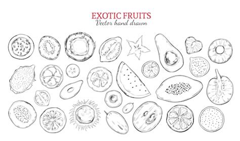 Набор иконок ретро мультфильм тропические фрукты Бесплатно векторы