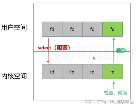 io多路复用：linux下的select、poll与epoll详解 csdn博客