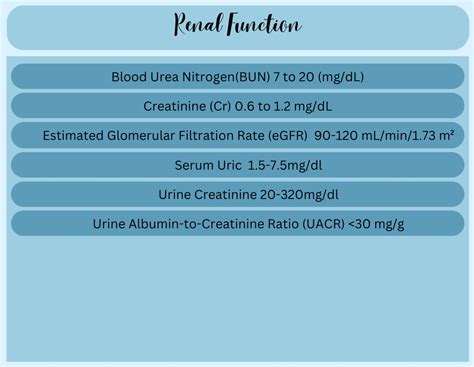 Lab Values Cheat Sheet For Nursing Babes Nursing Babe Nursing Notes Lab Values Bundle