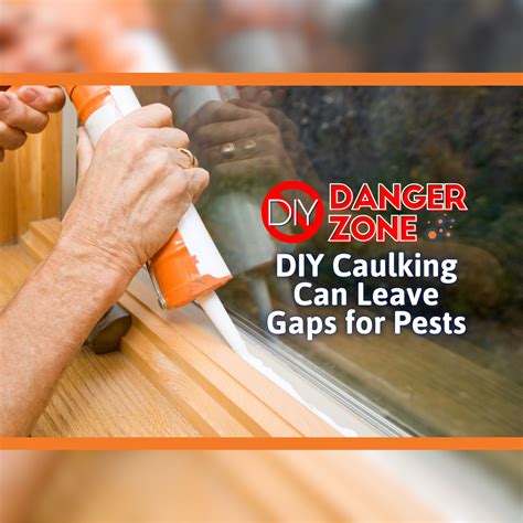 Why Diy Caulking Can Leave Gaps For Pests Paragon Pest Control
