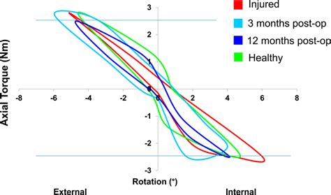 Example Of The Torque Rotational Curves Of One Patient At The Download Scientific Diagram