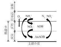 全程自养脱氮工艺的研究与工程应用展望