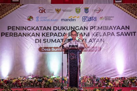 Dukungan Pembiayaan Petani Kelapa Sawit Oleh Ojk Antara Foto