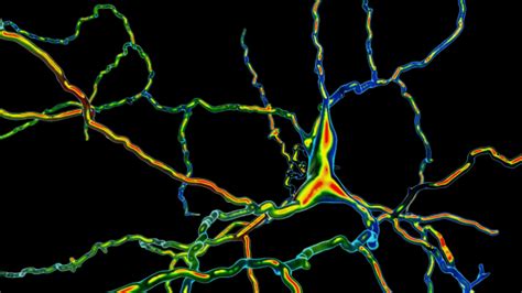 This Biotech Company Says It Has Implanted Dopamine Making C
