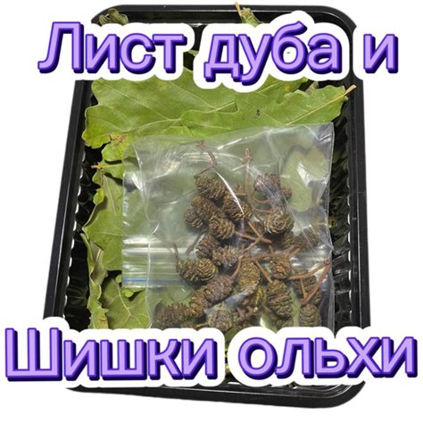 Набор сушеный лист дуба и ольховые шишки для креветок купить на OZON по ...