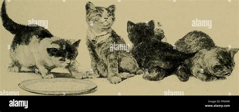 The Fireside Sphinx 1901 Stock Photo Alamy