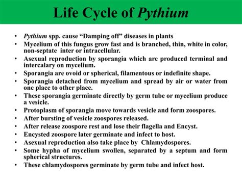 Life Cycle Of Pythium Albugo Erysiphe Claviceps Ustilao And