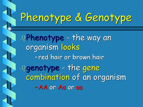 Mendels Laws Of Heredity Ppt Download