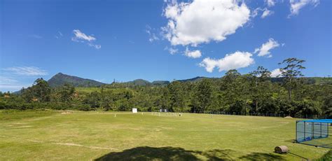National Players Start Training At Radella Ahead Of The Nz Tour Buzzer