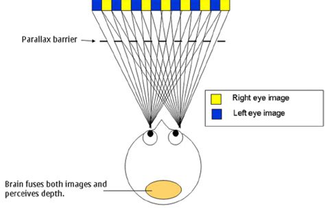 Mechanism Of The Parallax Barrier Display Download Scientific Diagram