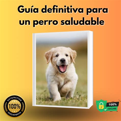 Guía Definitiva para un Perro Saludable Cómo Cuidar a tu Compañero