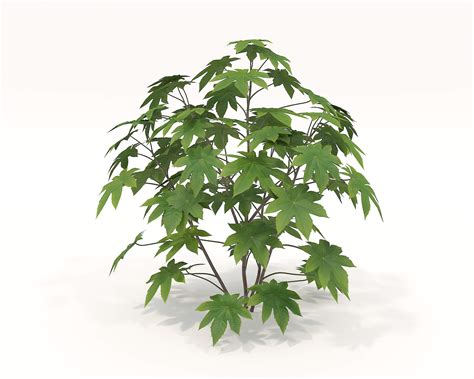 Realistic Shrub Bush Set 2 3D Model By Nhattuankts