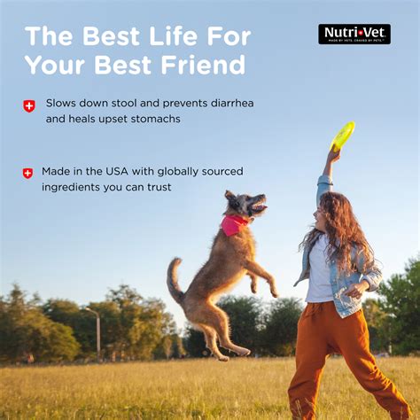 Anti Diarrhea Liquid Supplement Dog Digestive Health Nutri Vet