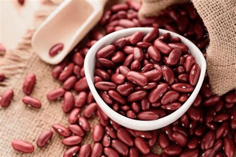 10 Manfaat Ajaib Kacang Merah Untuk Kesehatan Rumah Sakit Widodo