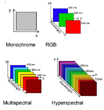 Gis Quiz Flashcards Quizlet