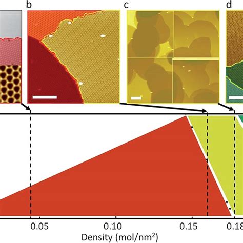 Nian Lin Professor Full The Hong Kong University Of Science And