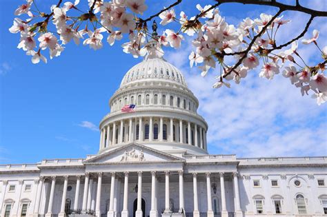 Upcoming Congressional Briefing How Seclusion Restraint Harms