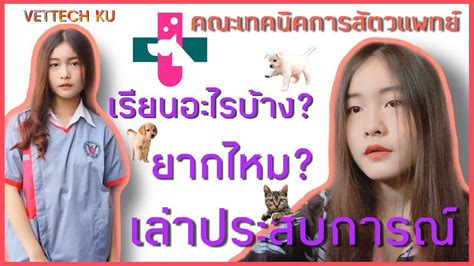 คณะเทคนิคการสัตวแพทย์คืออะไร เล่าประสบการณ์ที่เรียนมา 3ปี Youtube